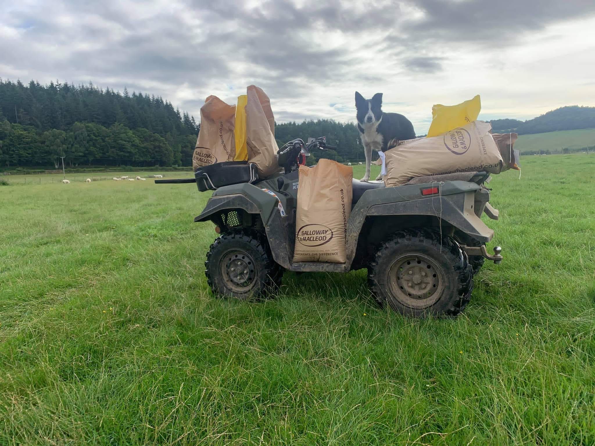 News - Galloway & MacLeod