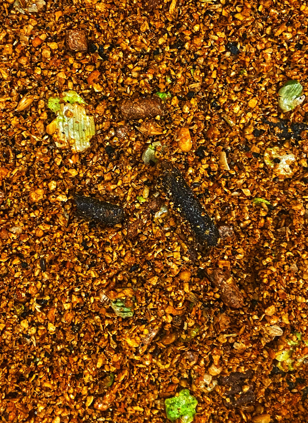 Sheep 30 | Ewe Feed | Sheep Feed - Galloway & MacLeod