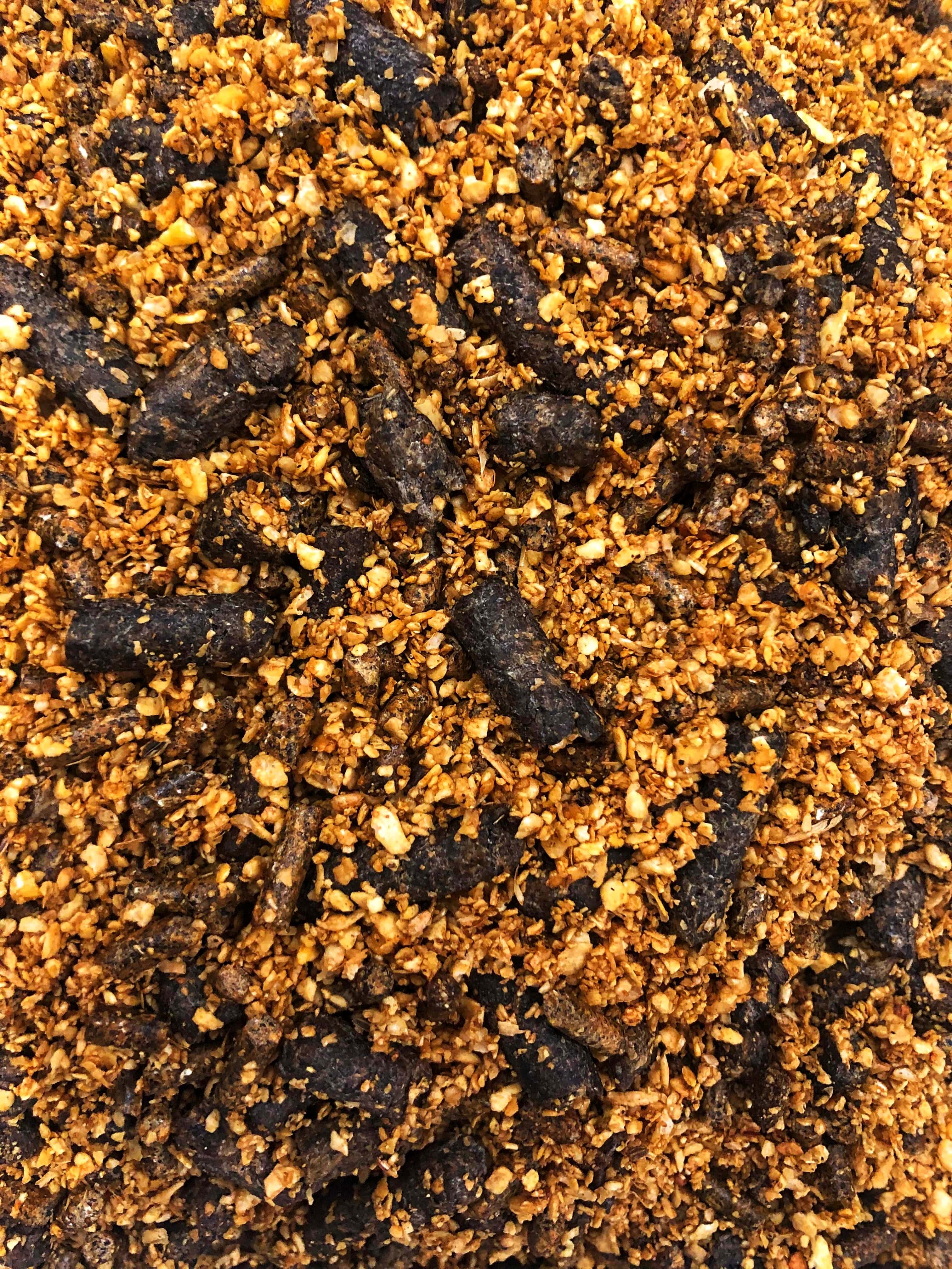 TMR Beef 30 - Galloway & MacLeod