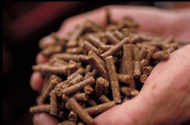 Our Process - Galloway & MacLeod