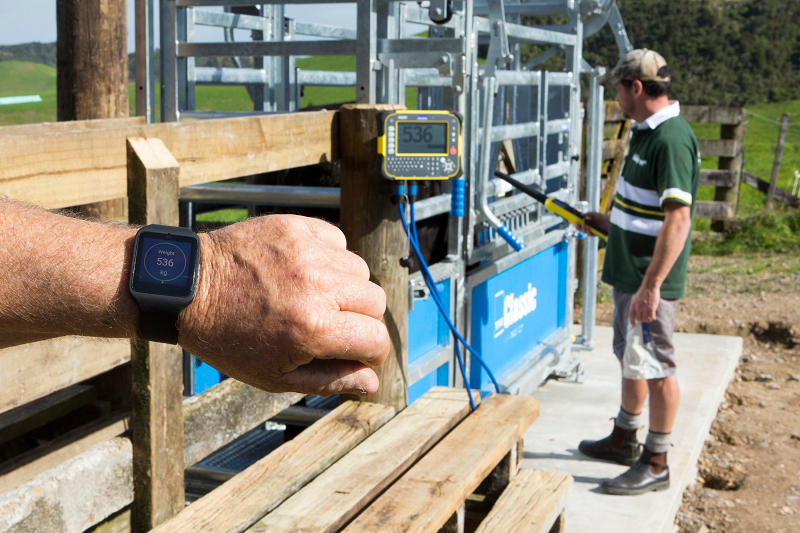 Tru-Test XRS2 Stick Reader | Galloway & MacLeod