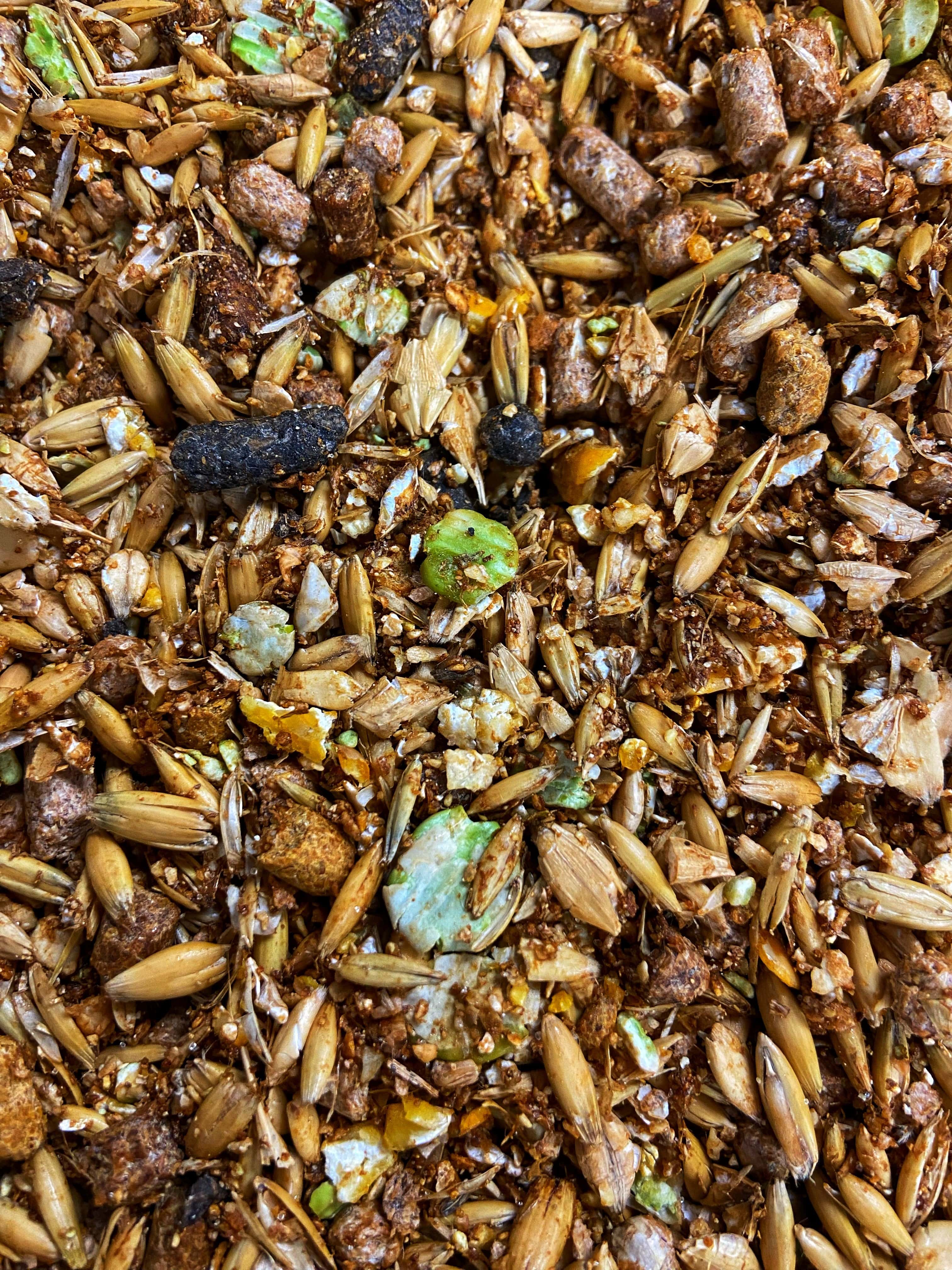 Galloway & Macleod - Animal feed - Agricultural Supplies