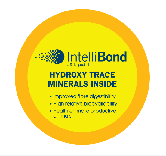 Maxcare Cattle High Magnesium Mineral Bucket - Galloway & MacLeod