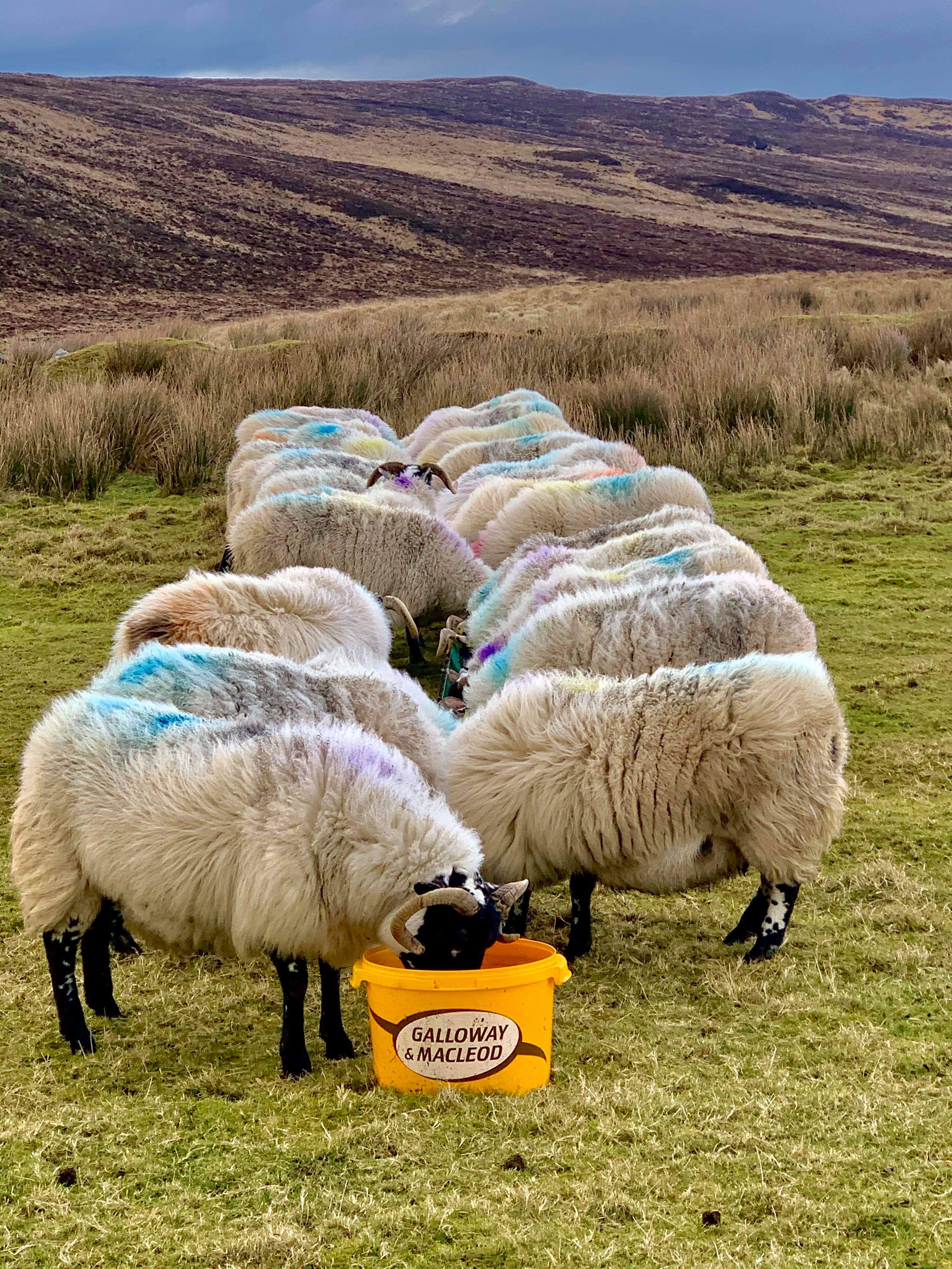 Our Process - Galloway & MacLeod