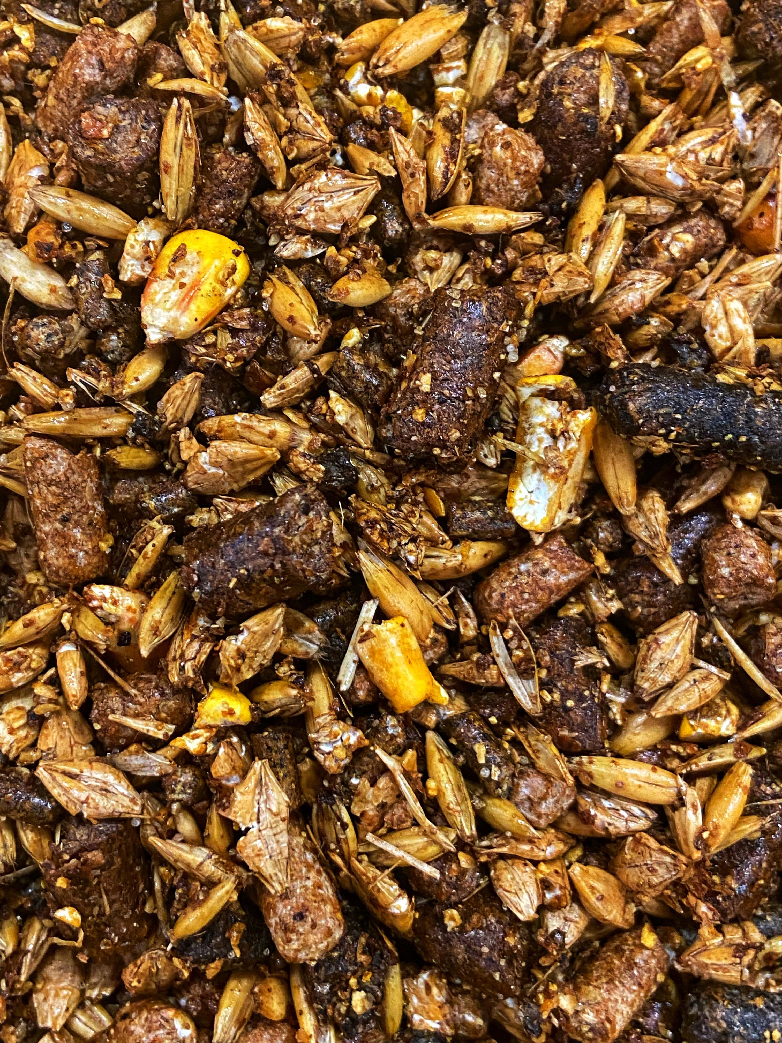 Shearling Grower | Galloway & MacLeod