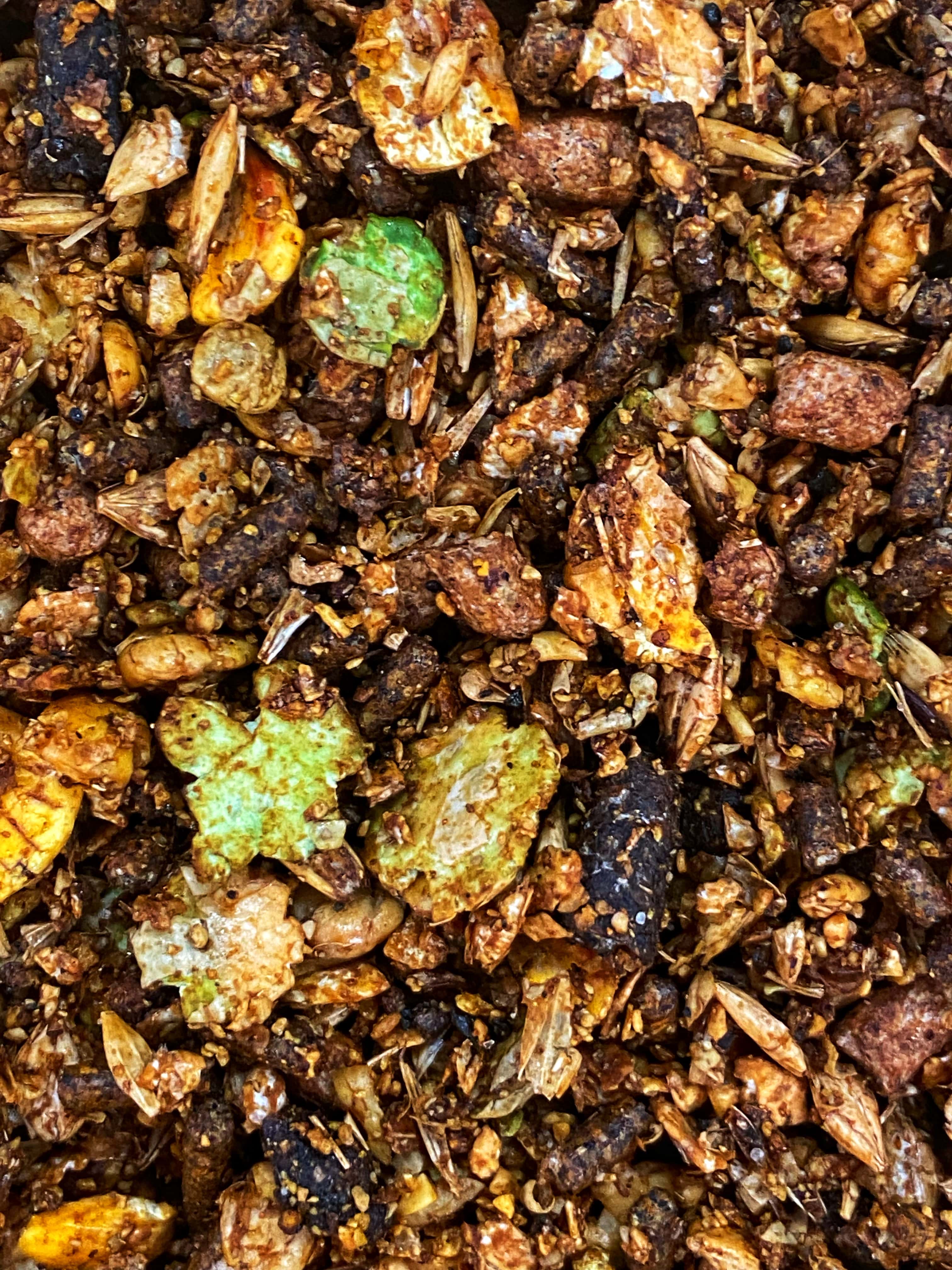 Omega Max Start | Galloway & MacLeod