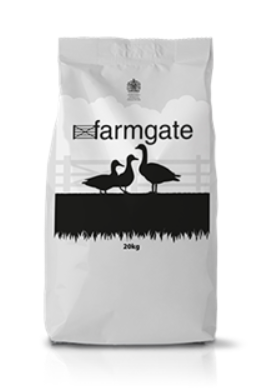 Duck and Goose Mix - Galloway & MacLeod