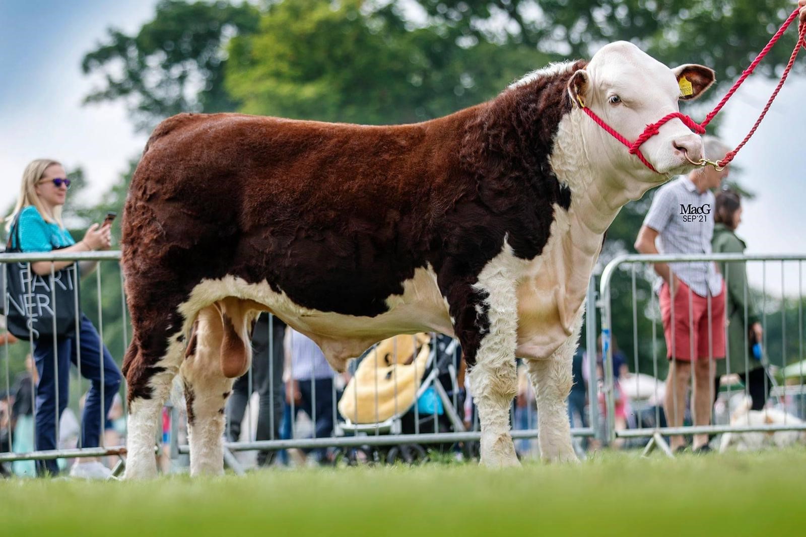 Galloway & Macleod - Animal feed - Agricultural Supplies