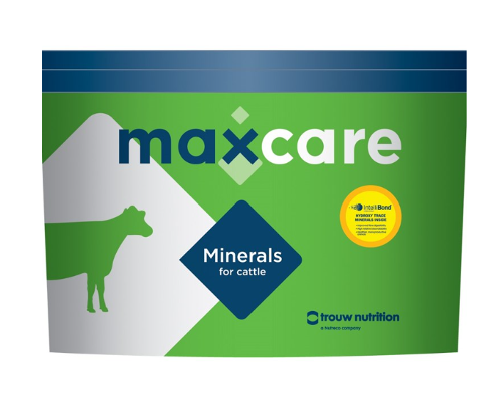 Maxcare Cattle High Magnesium Mineral Bucket - Galloway & MacLeod